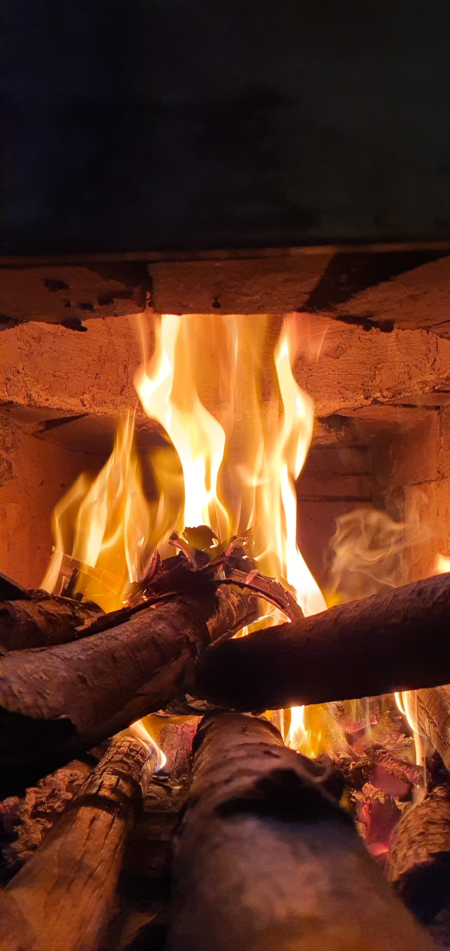 Traditional Central Tamilnadu food cooked on firewood at Manjal ...